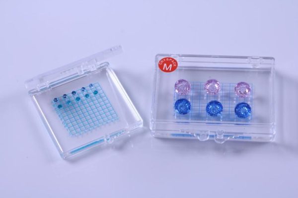 Why Clear Plastic Packaging Boxes Are Perfect for Gift Sets and Bundles